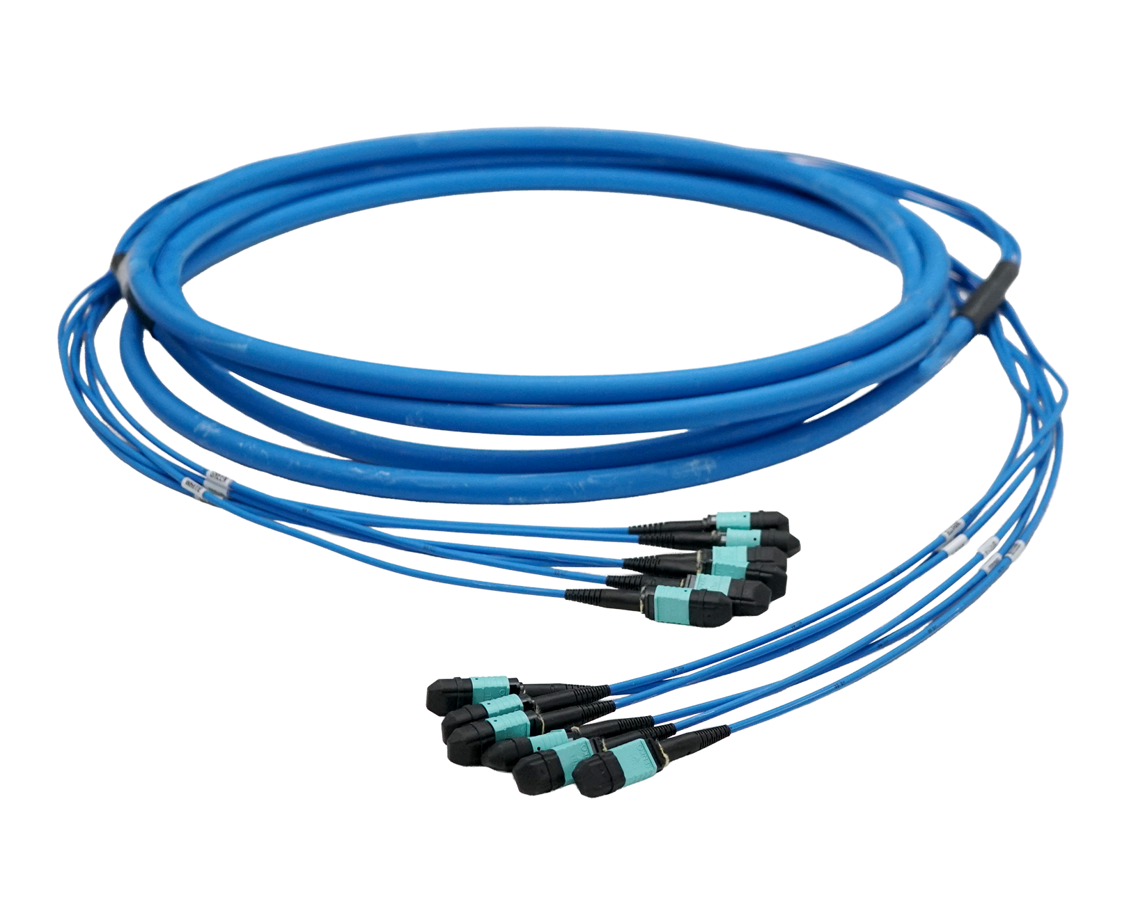 MPO Indoor Trunk Cable Assemblies | Clearfield