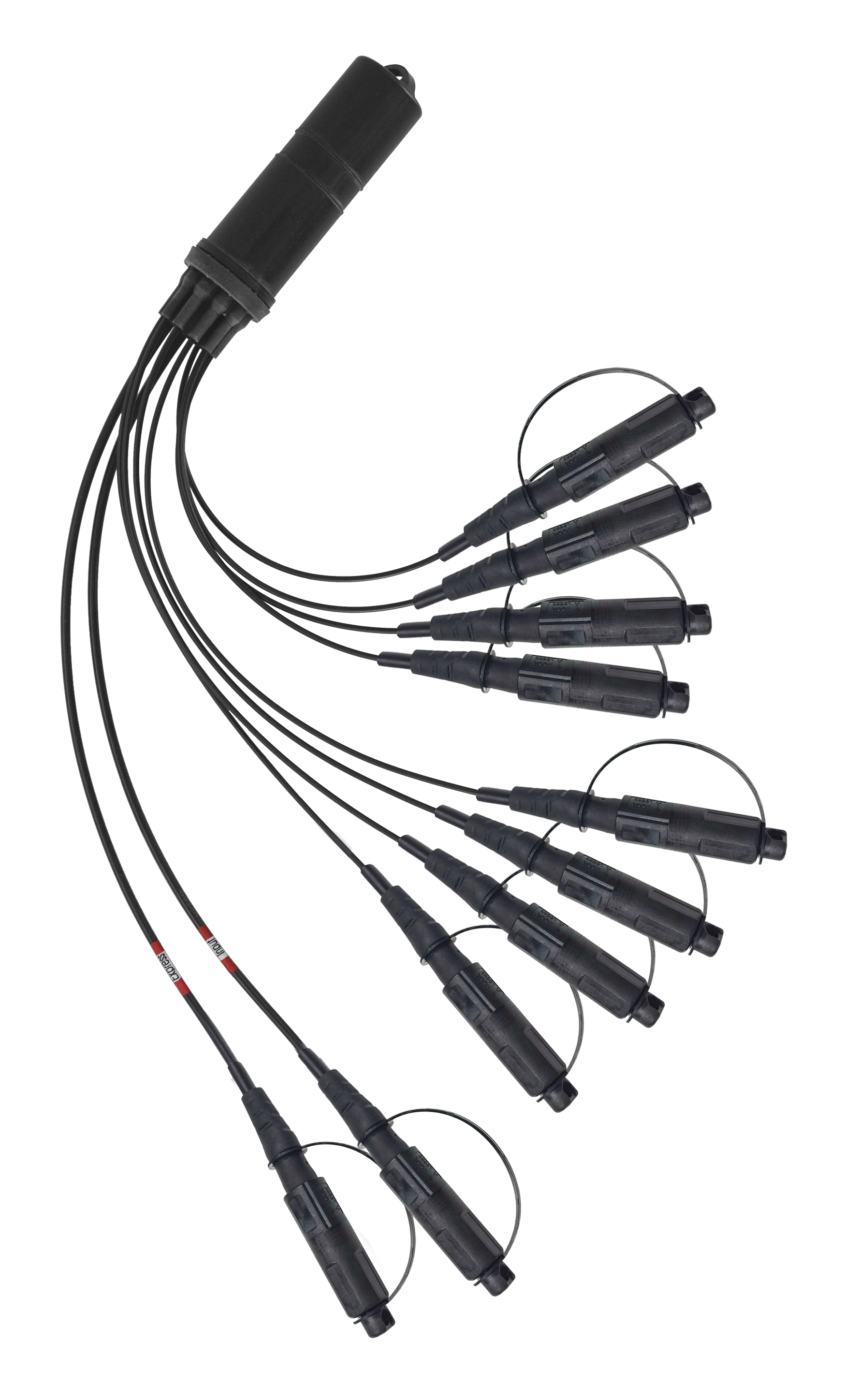 TetherSmart Multi-Fiber Terminal